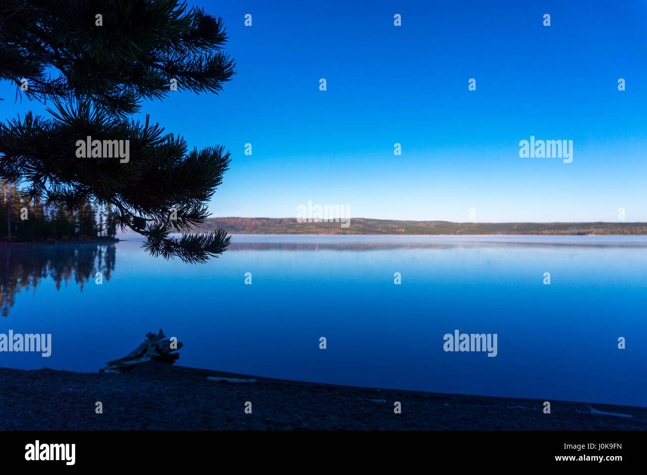 Early morning view of Lewis Lake in Yellowstone National Park Stock ...