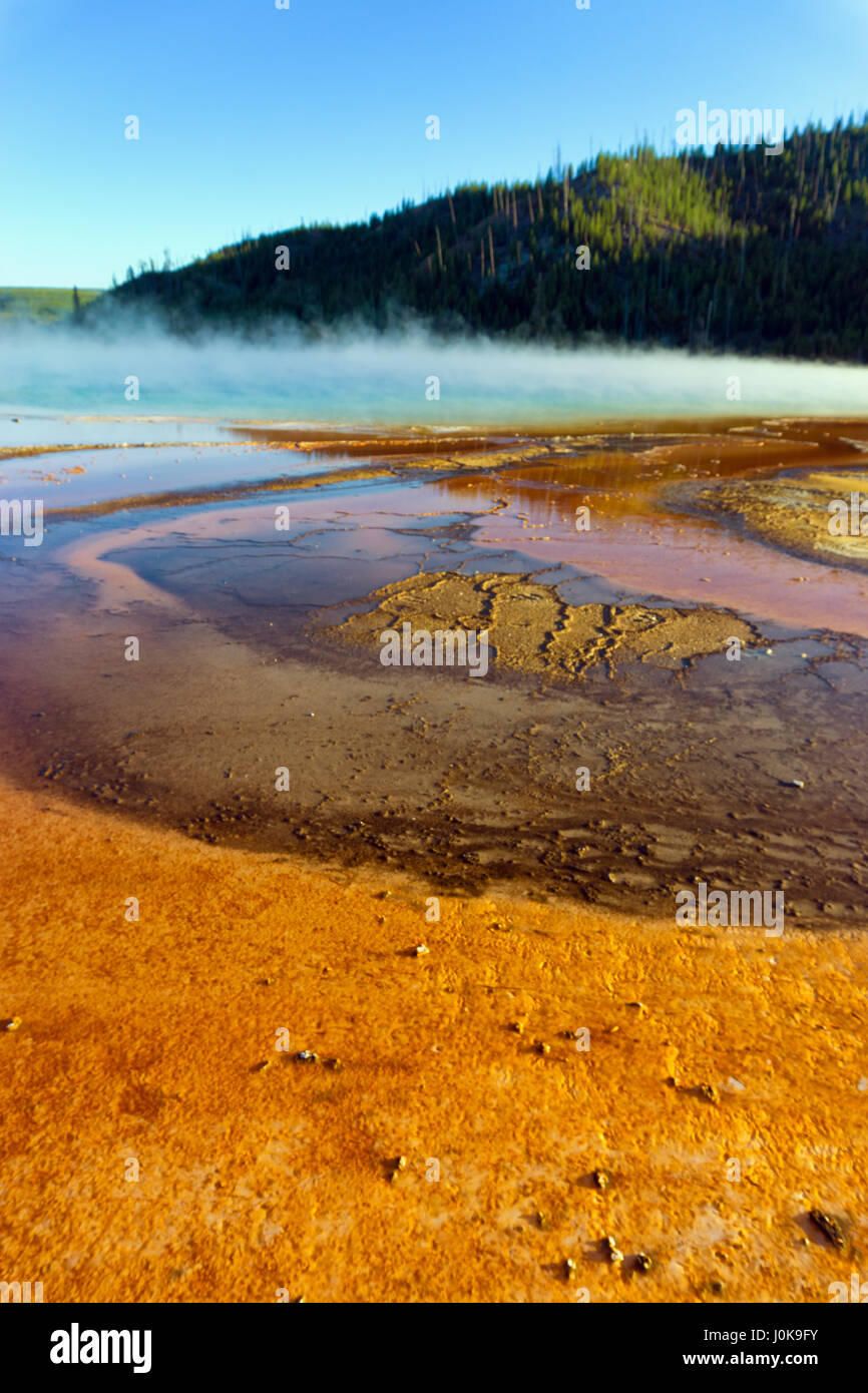 Vertical view of the Grand Prismatic Spring in Yellowstone National ...
