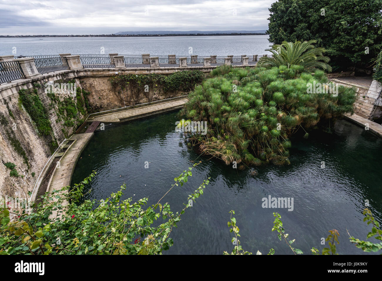 Fountain of Arethusa (Fonte Aretusa) with papyrus plants on the Ortygia ...