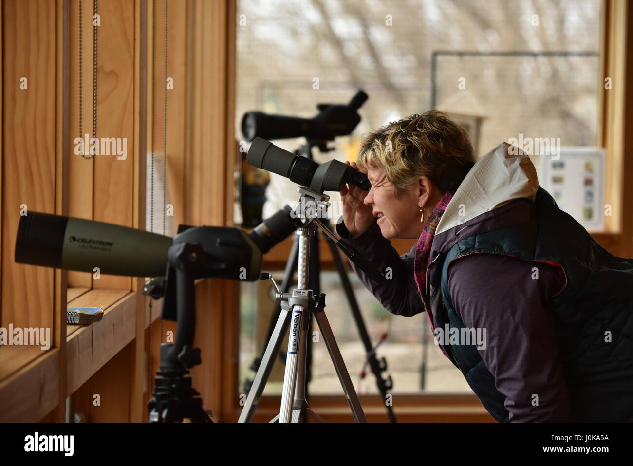 Woman bird view hi-res stock photography and images - Alamy