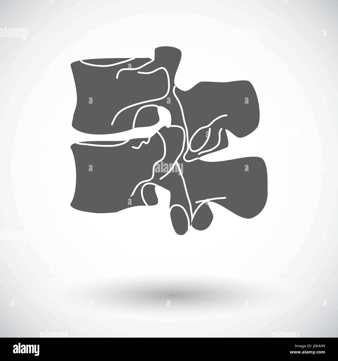 Sacral bone Stock Vector Images - Alamy