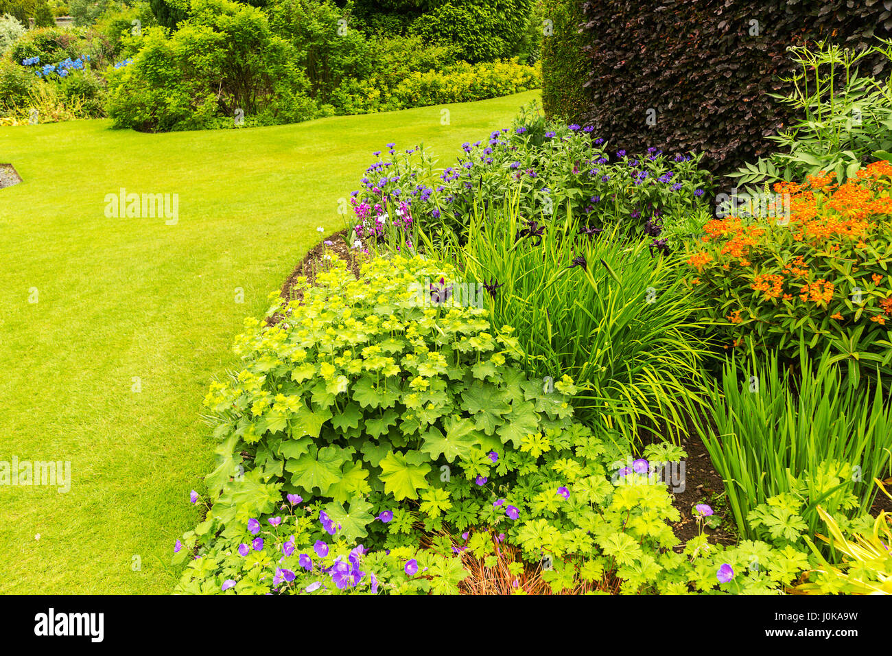 Beautiful garden landscaping in the summer Stock Photo - Alamy
