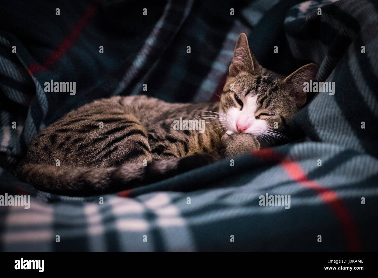 Satring hi-res stock photography and images - Alamy