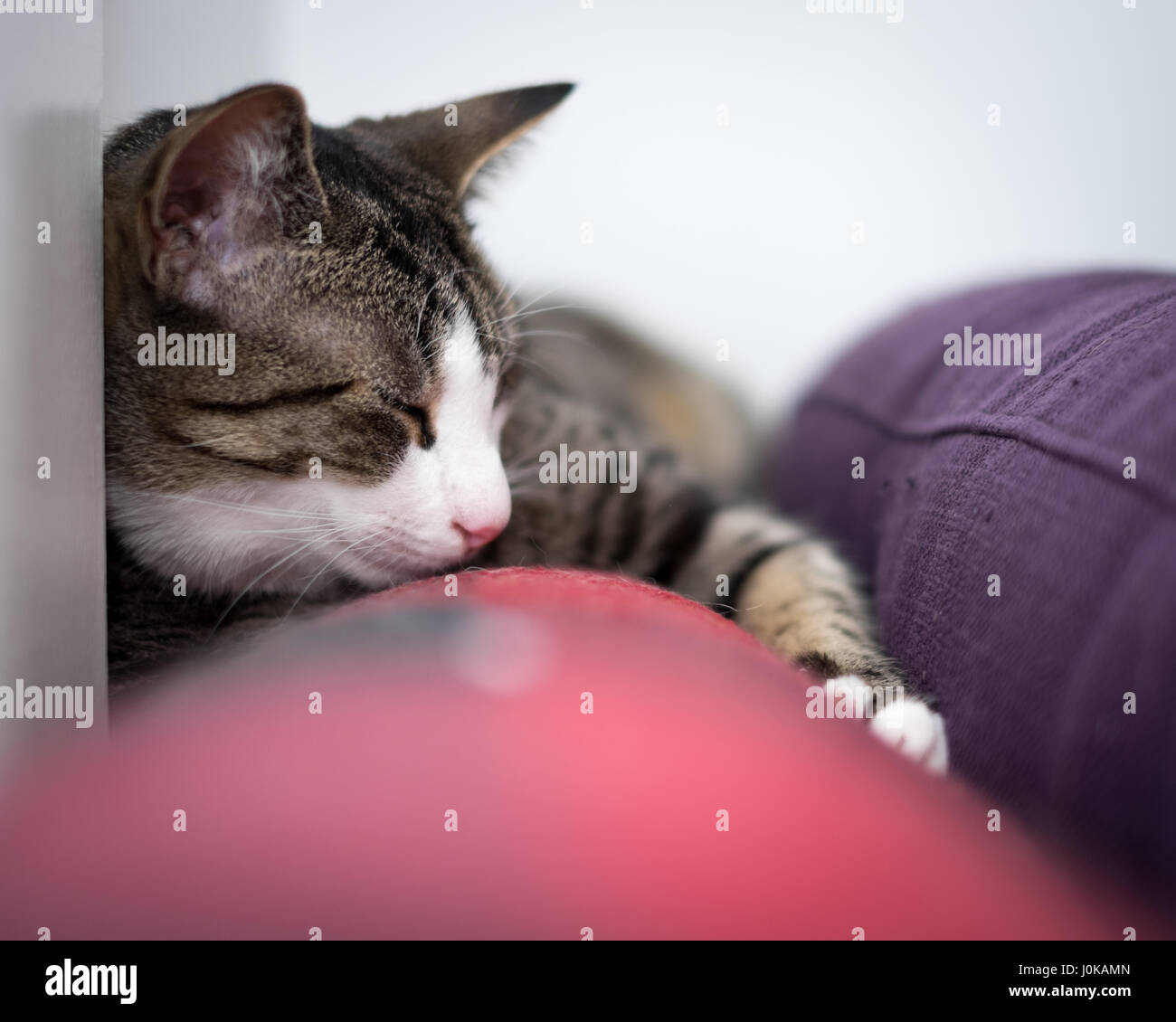 Satring hi-res stock photography and images - Alamy
