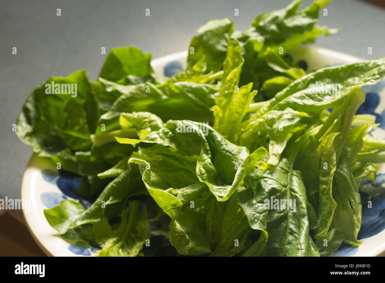 Young spinach hi-res stock photography and images - Alamy