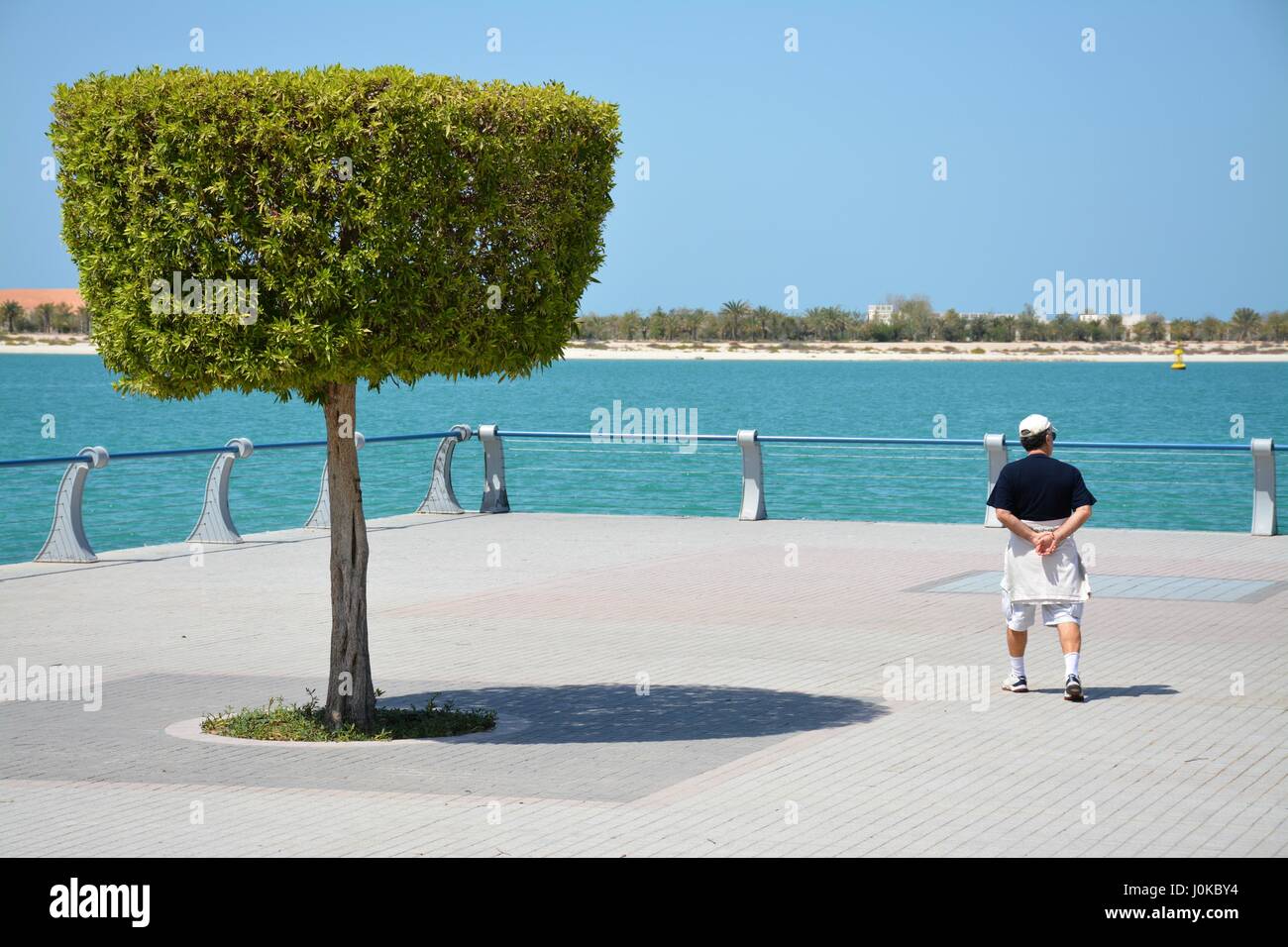 man standing alone next to a tree on the Abu Dhabi corniche Stock Photo ...