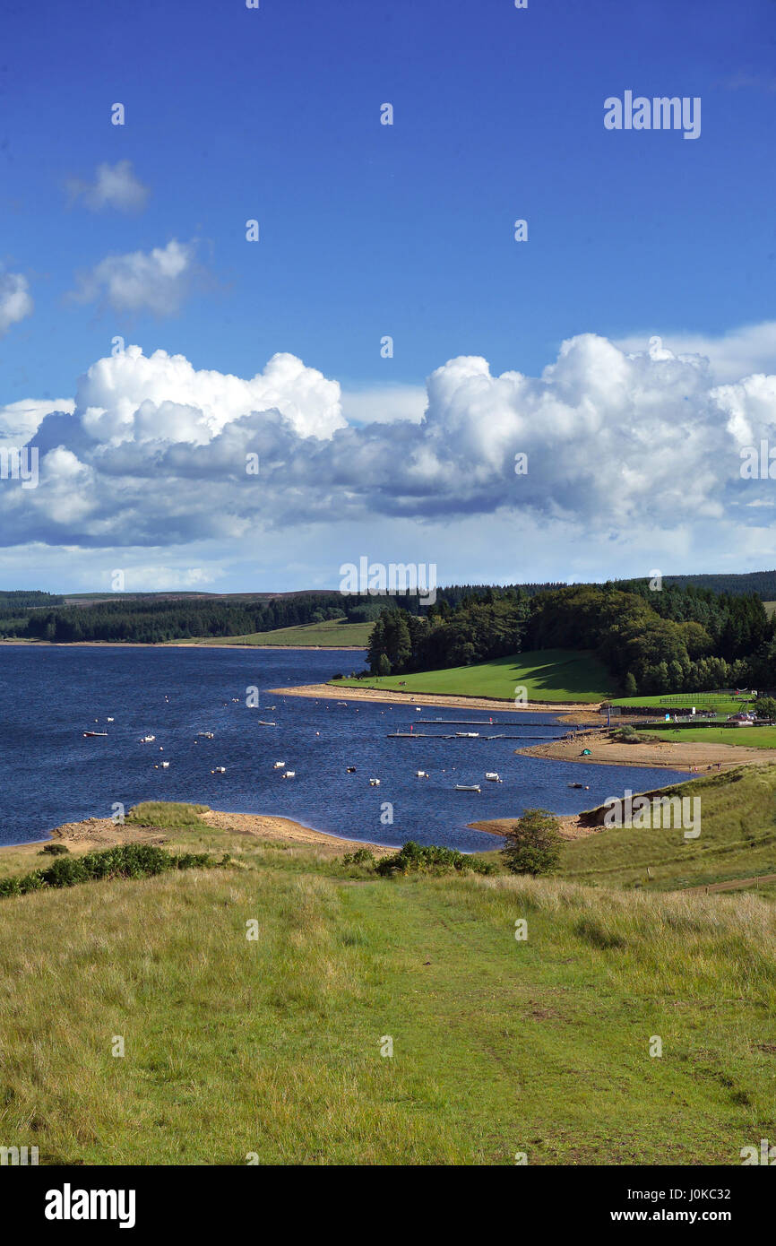 Kielder park hi-res stock photography and images - Alamy