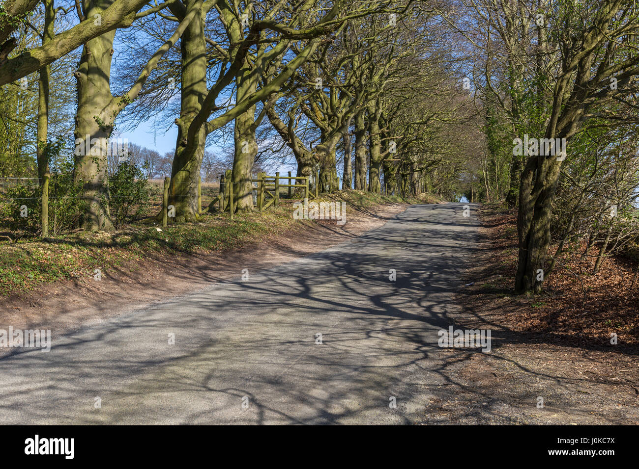 Cotswold country road hi-res stock photography and images - Alamy