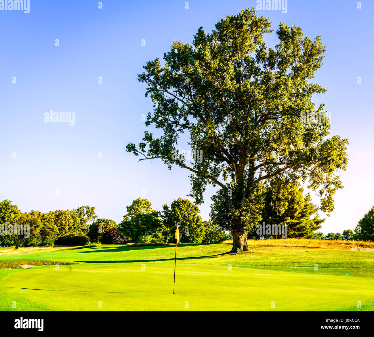 Golf grass hi-res stock photography and images - Alamy