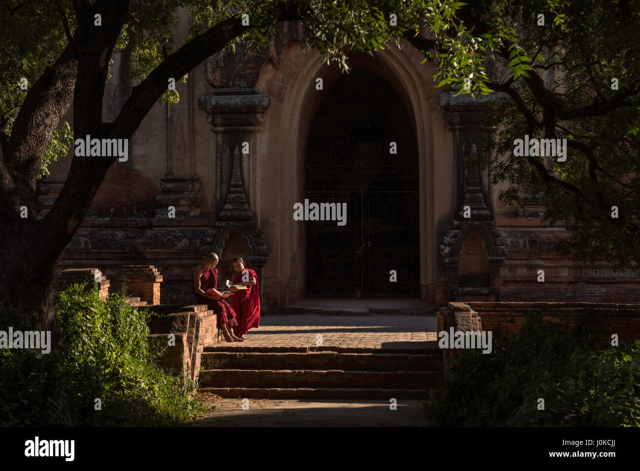 Novice monks studying in the gardens of the temple Stock Photo - Alamy