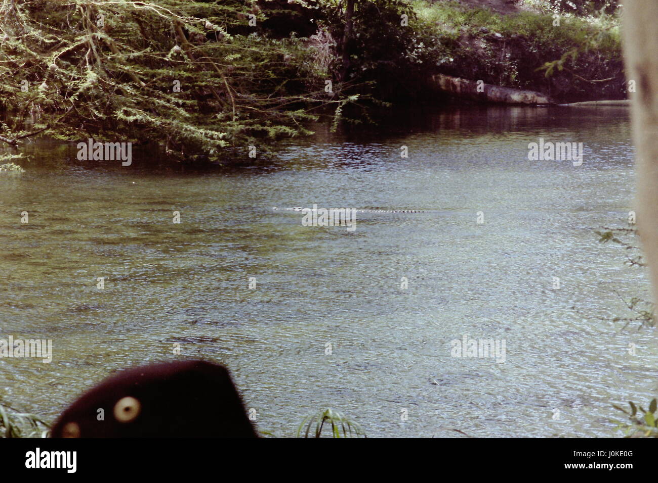THIS IS A DIGITAL IMAGE RECORD FOR A FOUND DISCARDED UNWANTED ...