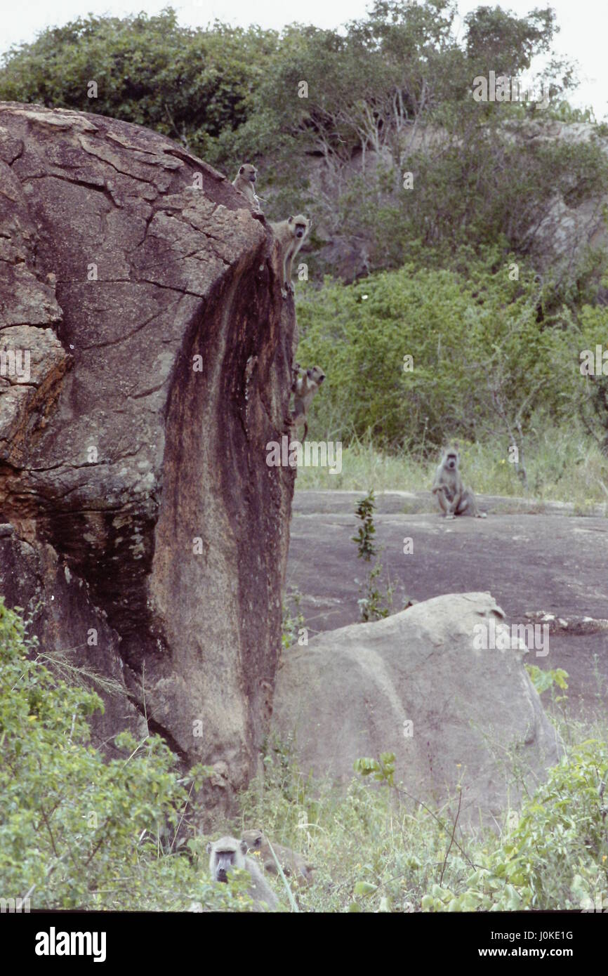 THIS IS A DIGITAL IMAGE RECORD FOR A FOUND DISCARDED UNWANTED ...