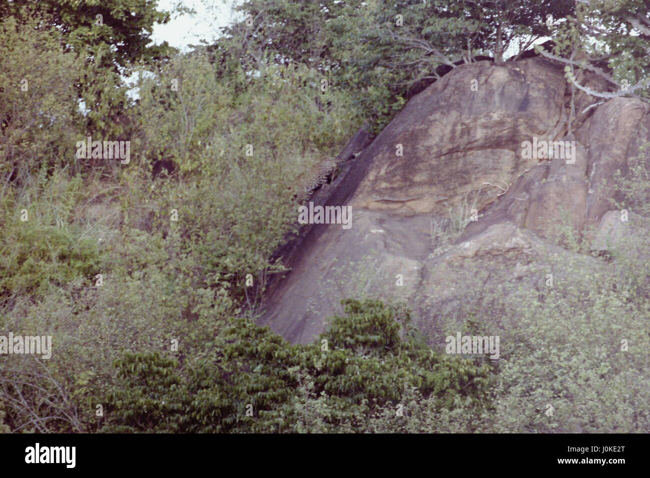 THIS IS A DIGITAL IMAGE RECORD FOR A FOUND DISCARDED UNWANTED ...