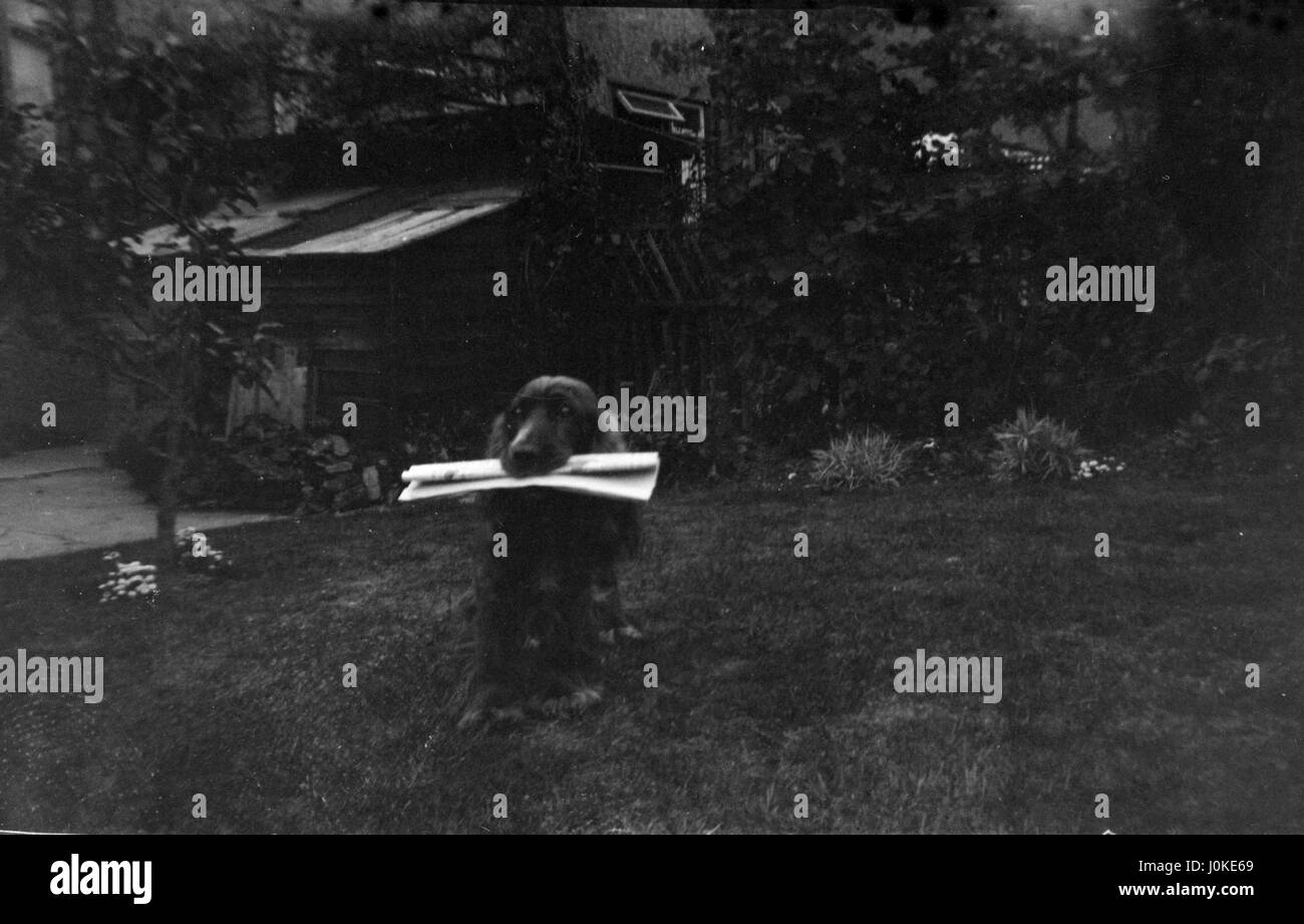 THIS IS A DIGITAL IMAGE RECORD FOR A FOUND DISCARDED UNWANTED ...