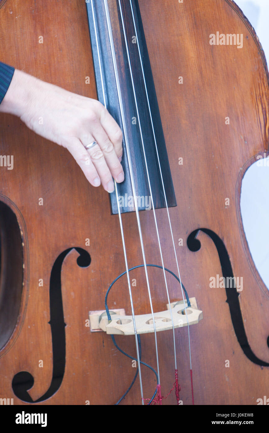 Contrabass musician hi-res stock photography and images - Alamy