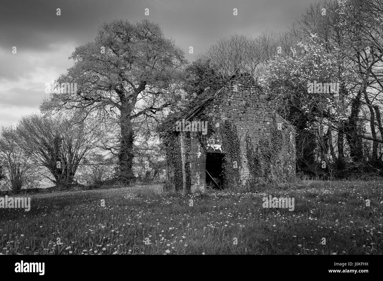 An ancient barn in rural Normandy (50), France. The sun was setting in ...