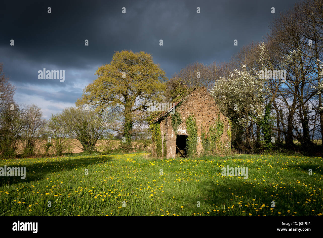 An ancient barn in rural Normandy (50), France. The sun was setting in ...