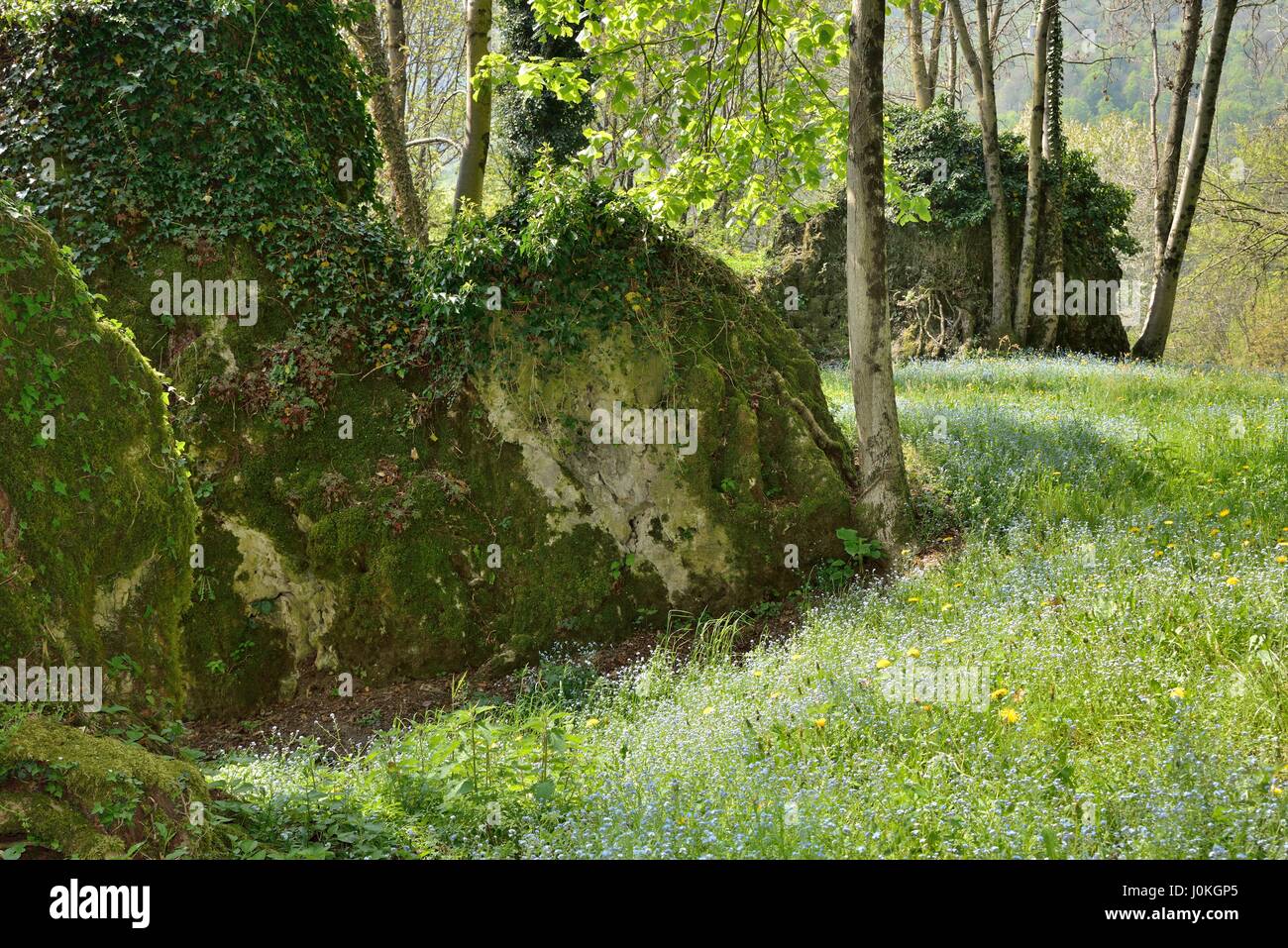 Spring rocks hi-res stock photography and images - Alamy