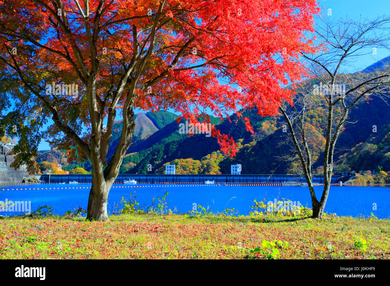 Okutama dam hi-res stock photography and images - Alamy