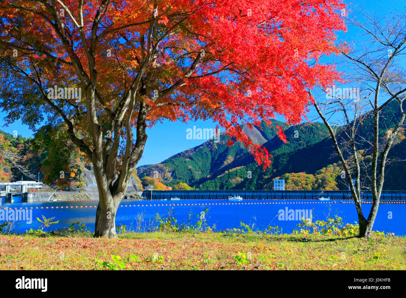 Okutama lake and town hi-res stock photography and images - Alamy