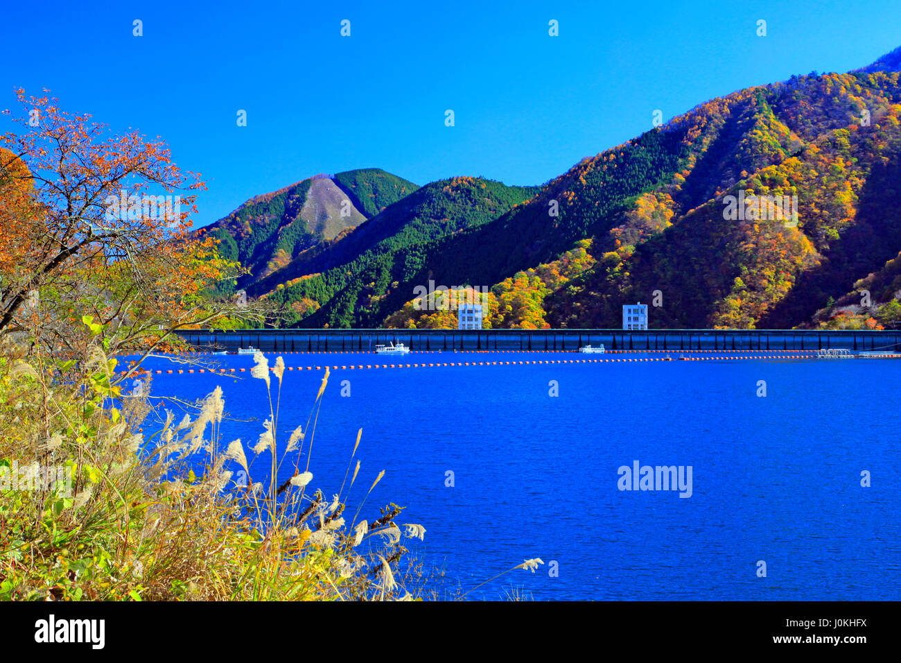 Lake Okutama Autumn Foliage Tokyo Japan Stock Photo - Alamy