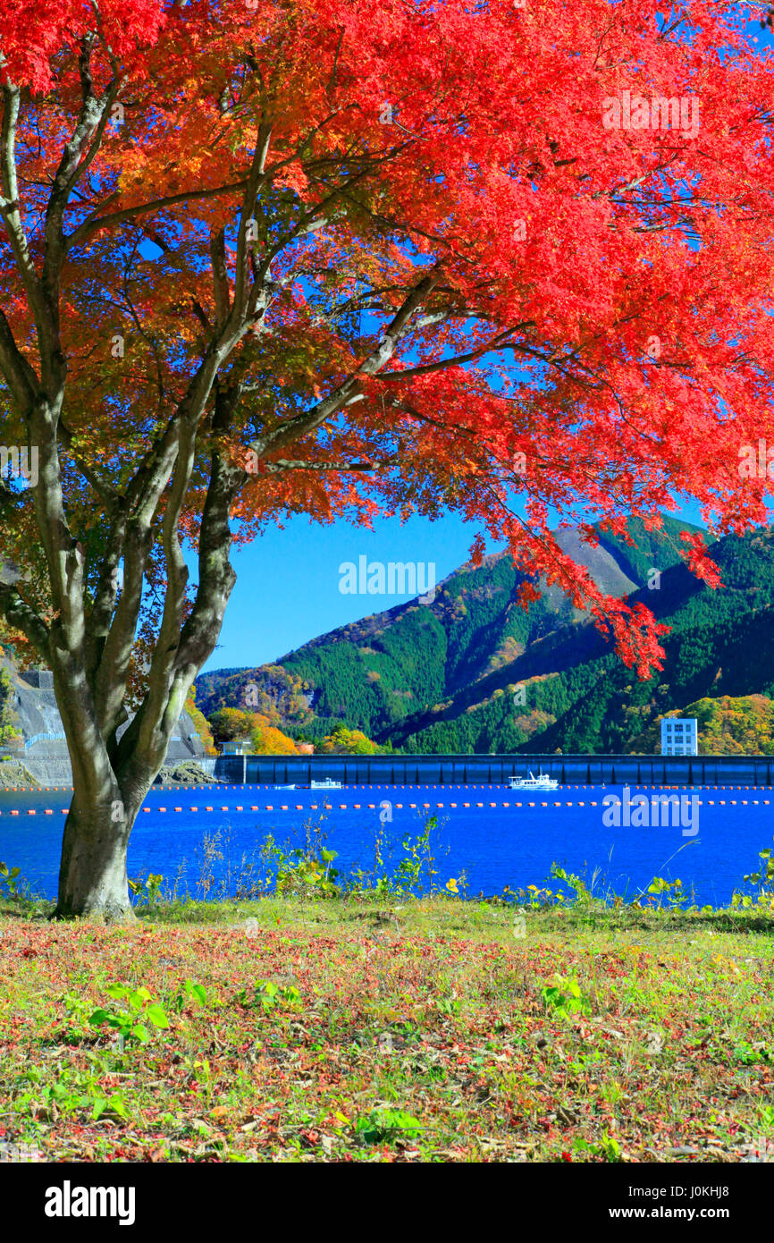 Lake Okutama Autumn Foliage Tokyo Japan Stock Photo - Alamy