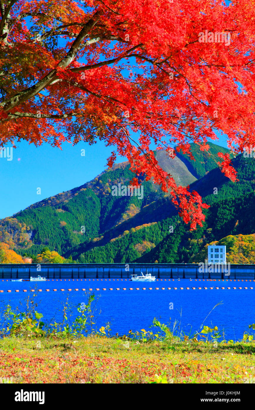 Okutama dam hi-res stock photography and images - Alamy