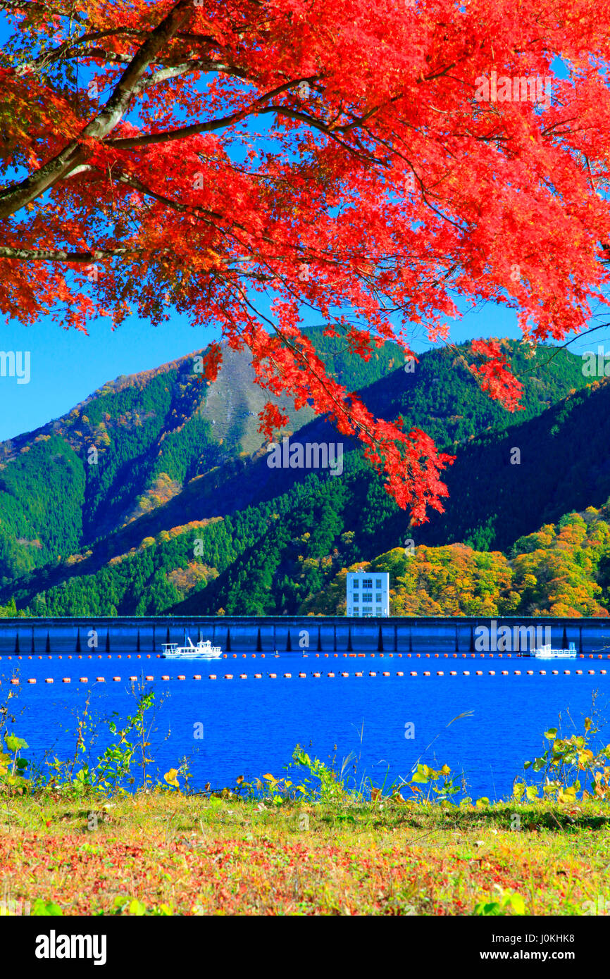 Lake Okutama Autumn Foliage Tokyo Japan Stock Photo - Alamy