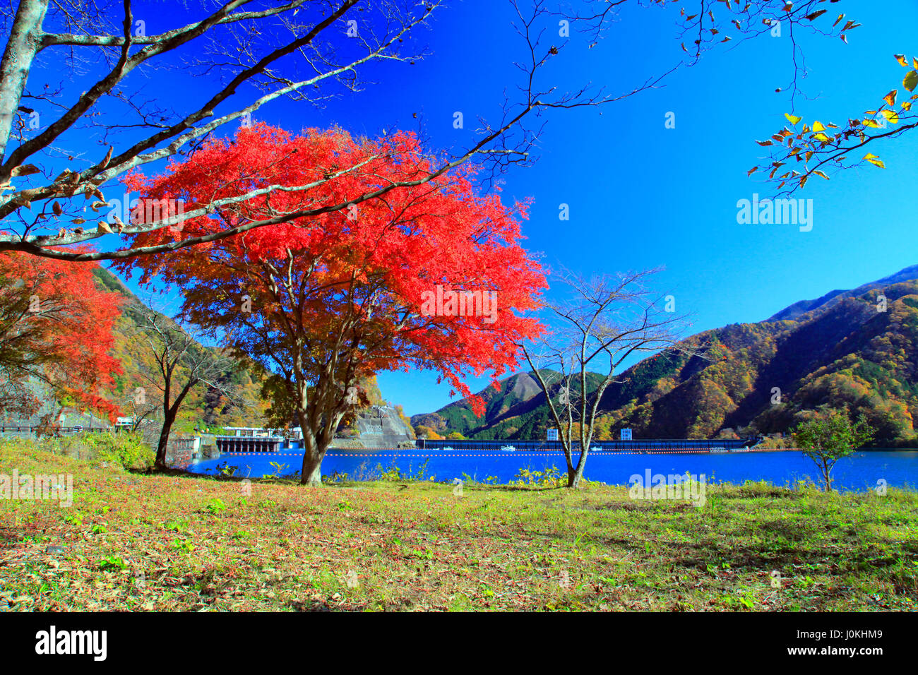 Lake Okutama Autumn Foliage Tokyo Japan Stock Photo - Alamy