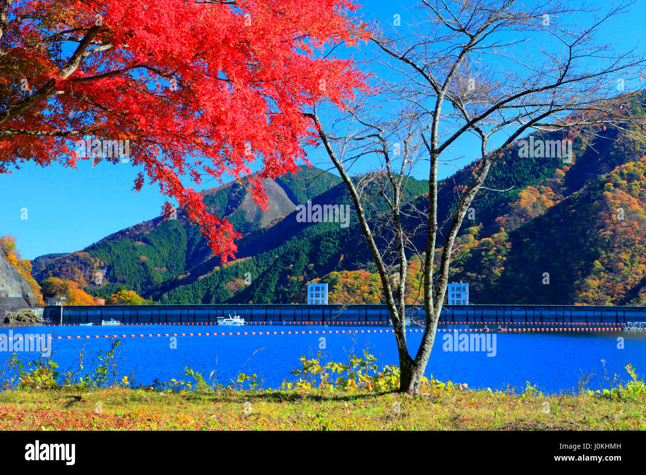 Lake Okutama Autumn Foliage Tokyo Japan Stock Photo - Alamy