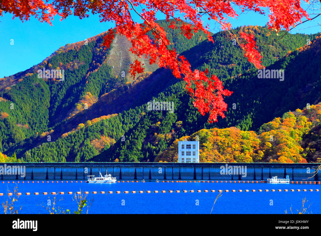 Lake Okutama Autumn Foliage Tokyo Japan Stock Photo - Alamy