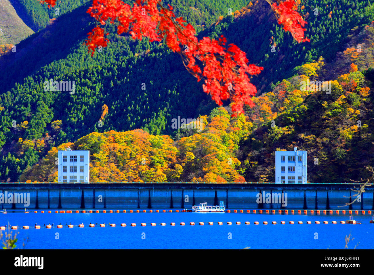 Lake Okutama Autumn Foliage Tokyo Japan Stock Photo - Alamy