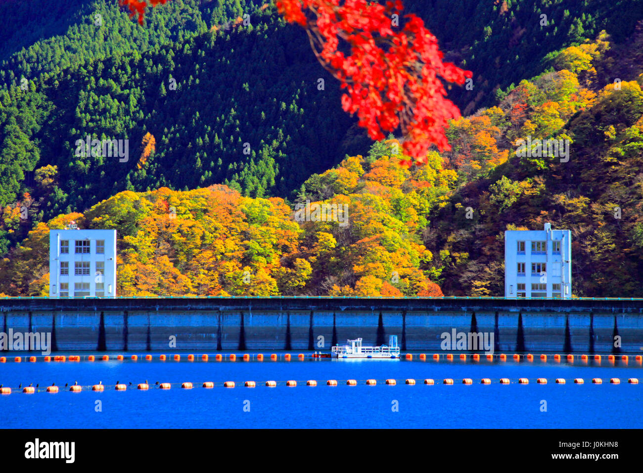 Lake Okutama Autumn Foliage Tokyo Japan Stock Photo - Alamy