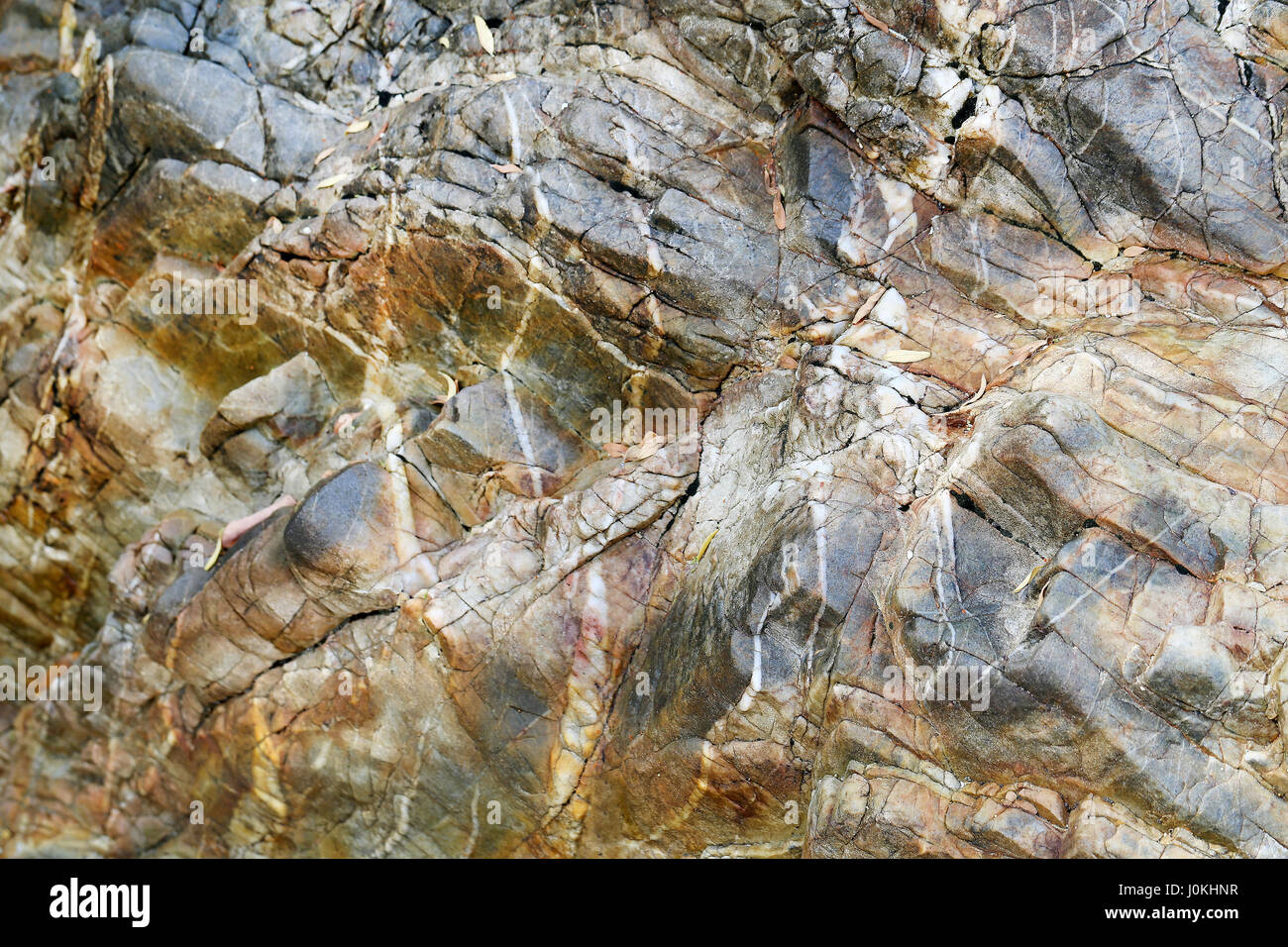 Unusual texture hi-res stock photography and images - Alamy