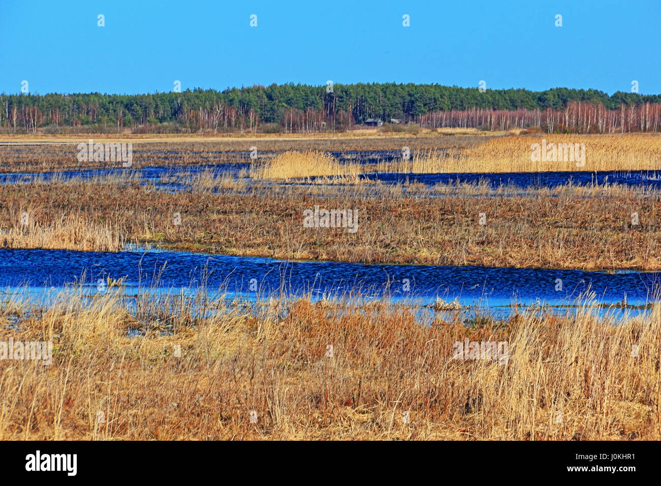 View on a water meadow, an old riverbed and the meliorative channel ...