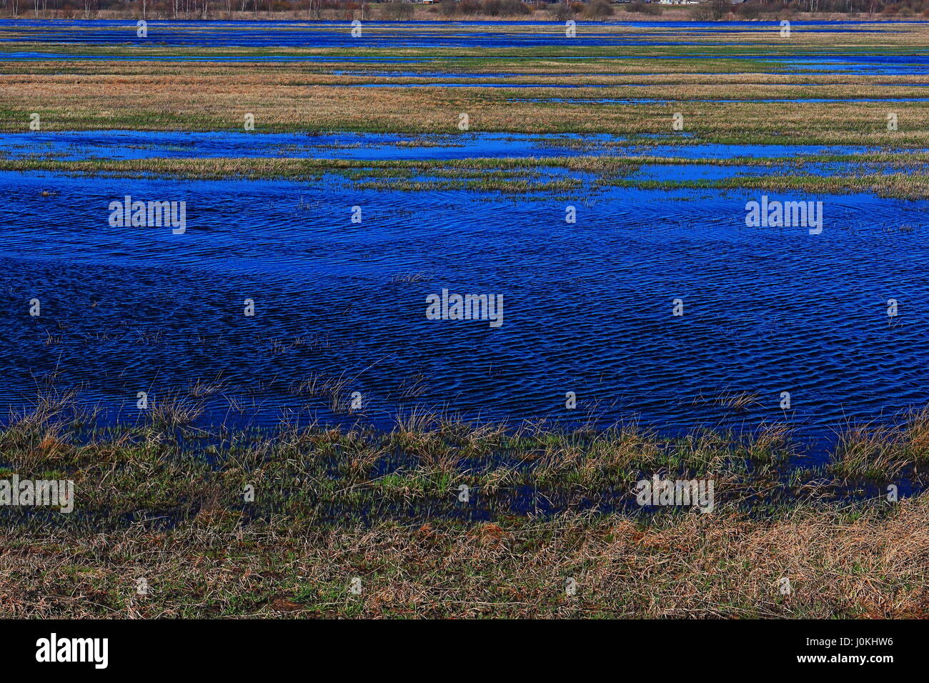 Wet meadow in spring hi-res stock photography and images - Alamy