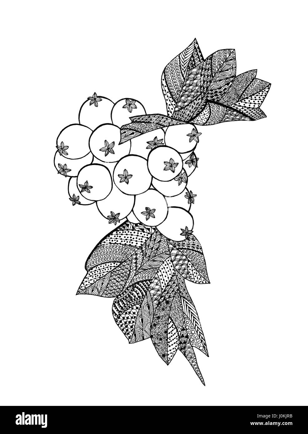 Leaf illustration art Black and White Stock Photos & Images - Alamy