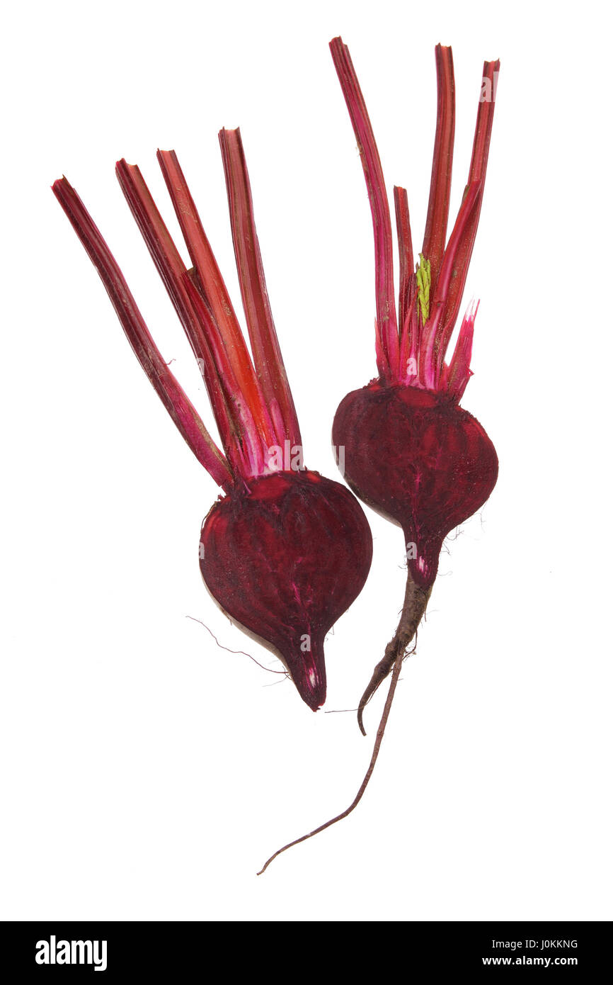 Beetroot cross section hi-res stock photography and images - Alamy