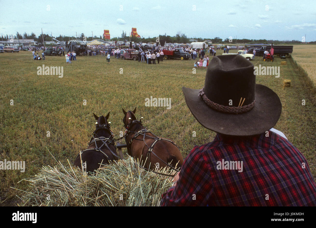 Threshing bee, Osler,, Saskatchewan, Canada Stock Photo - Alamy