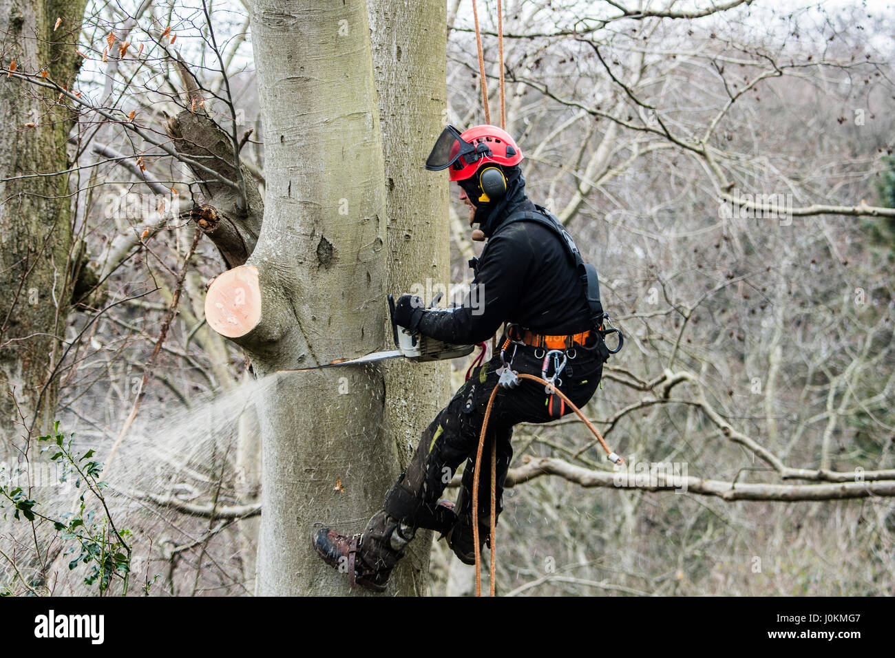 Equipment for felling High Resolution Stock Photography and Images - Alamy