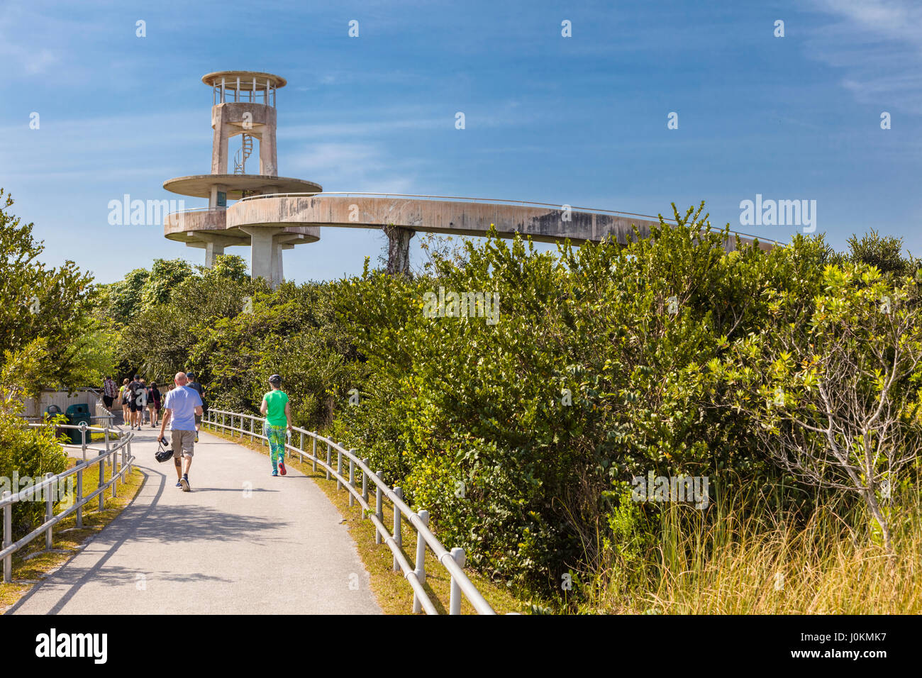 Shark valley everglades hi-res stock photography and images - Alamy