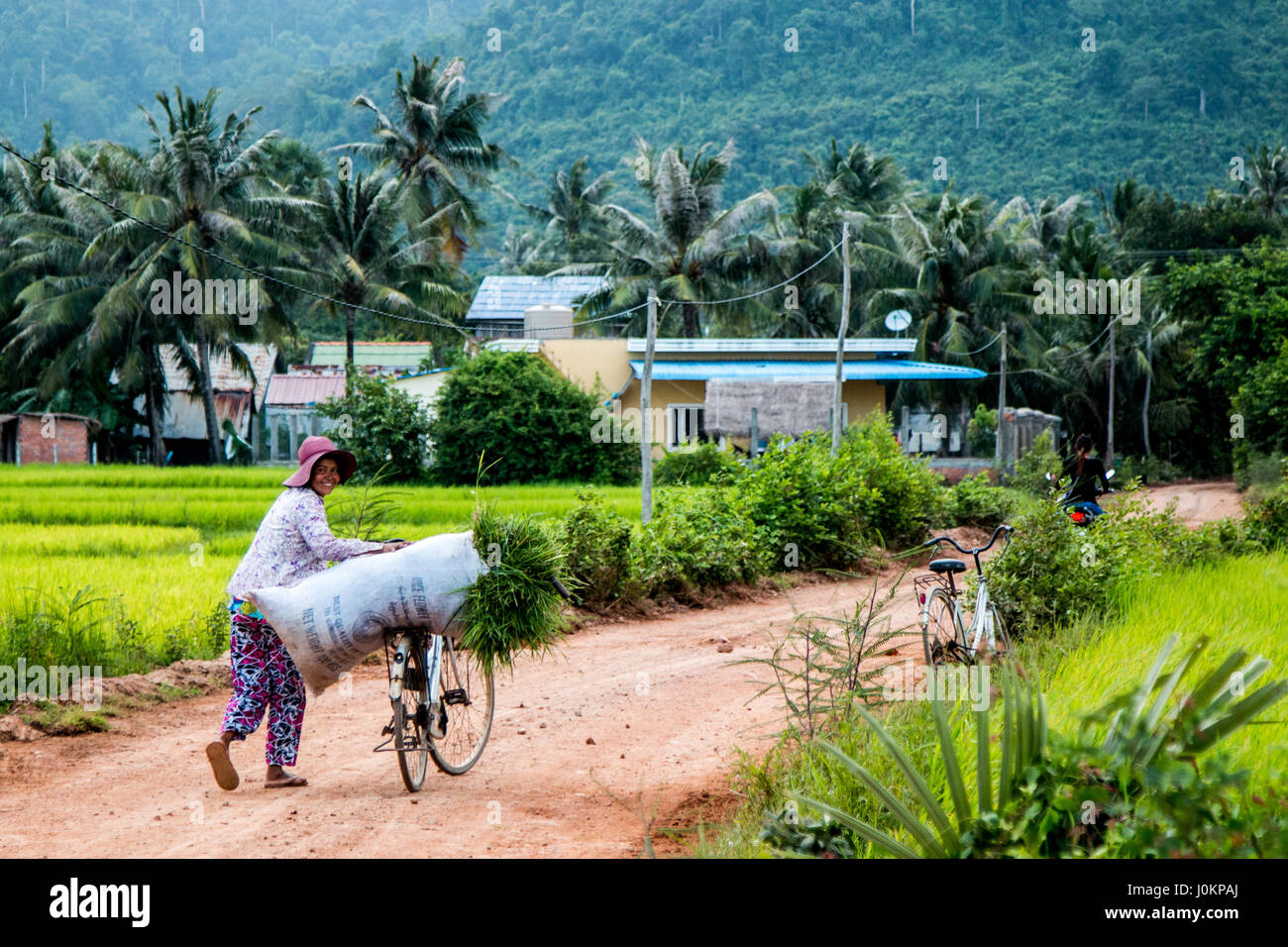 Cambodian farmer hi-res stock photography and images - Alamy