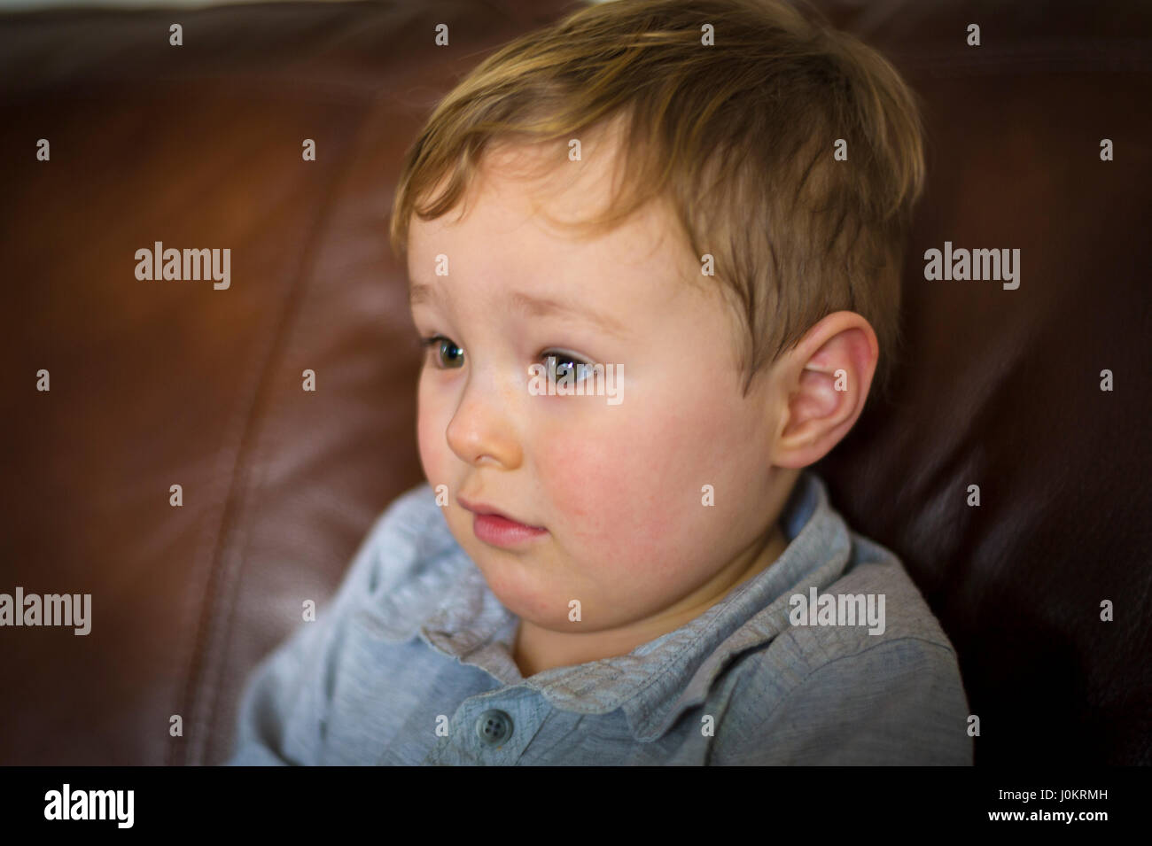 Boy child kid portrait camera hi-res stock photography and images - Alamy
