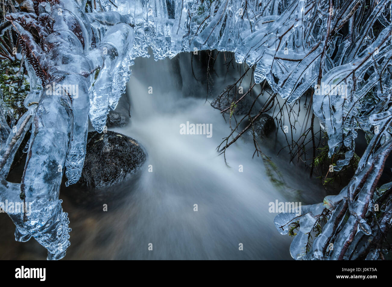 Stream of water flowing under an arch of icicles (ice covered branches ...