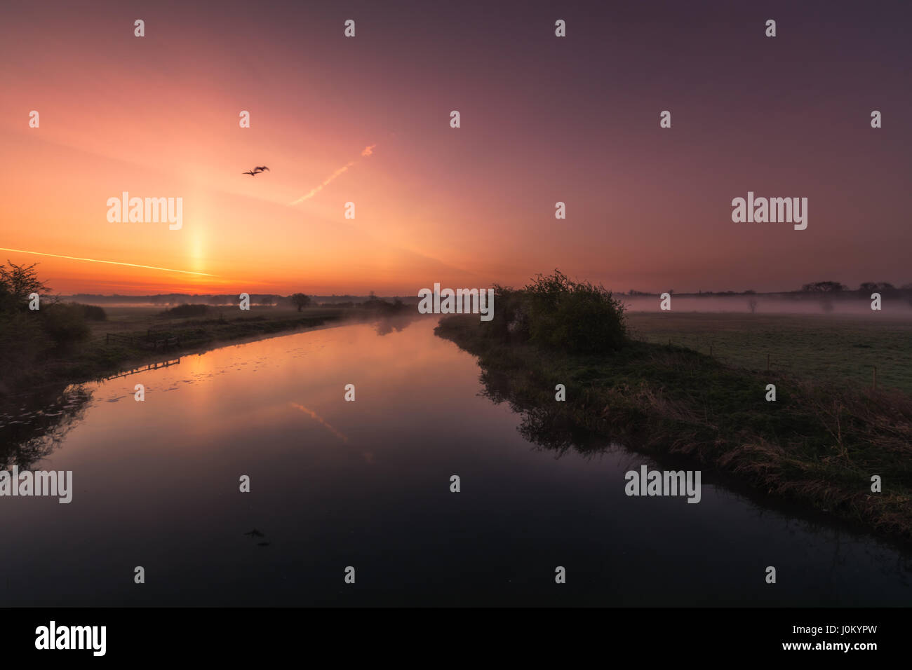 Two geese flying over a misty River Nene and surrounding fields at ...