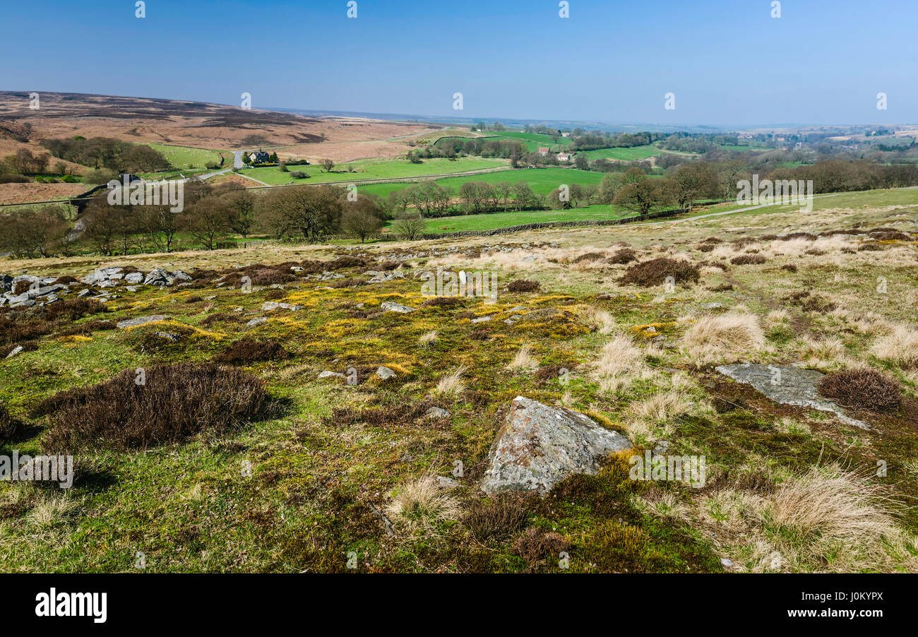 The North York Moors on a fine spring morning with flowering grasses ...