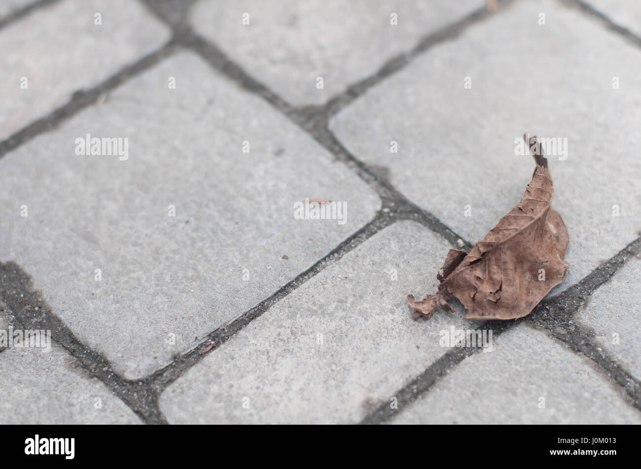 Ground grey color tile outdoor top view with copy space Stock Photo - Alamy