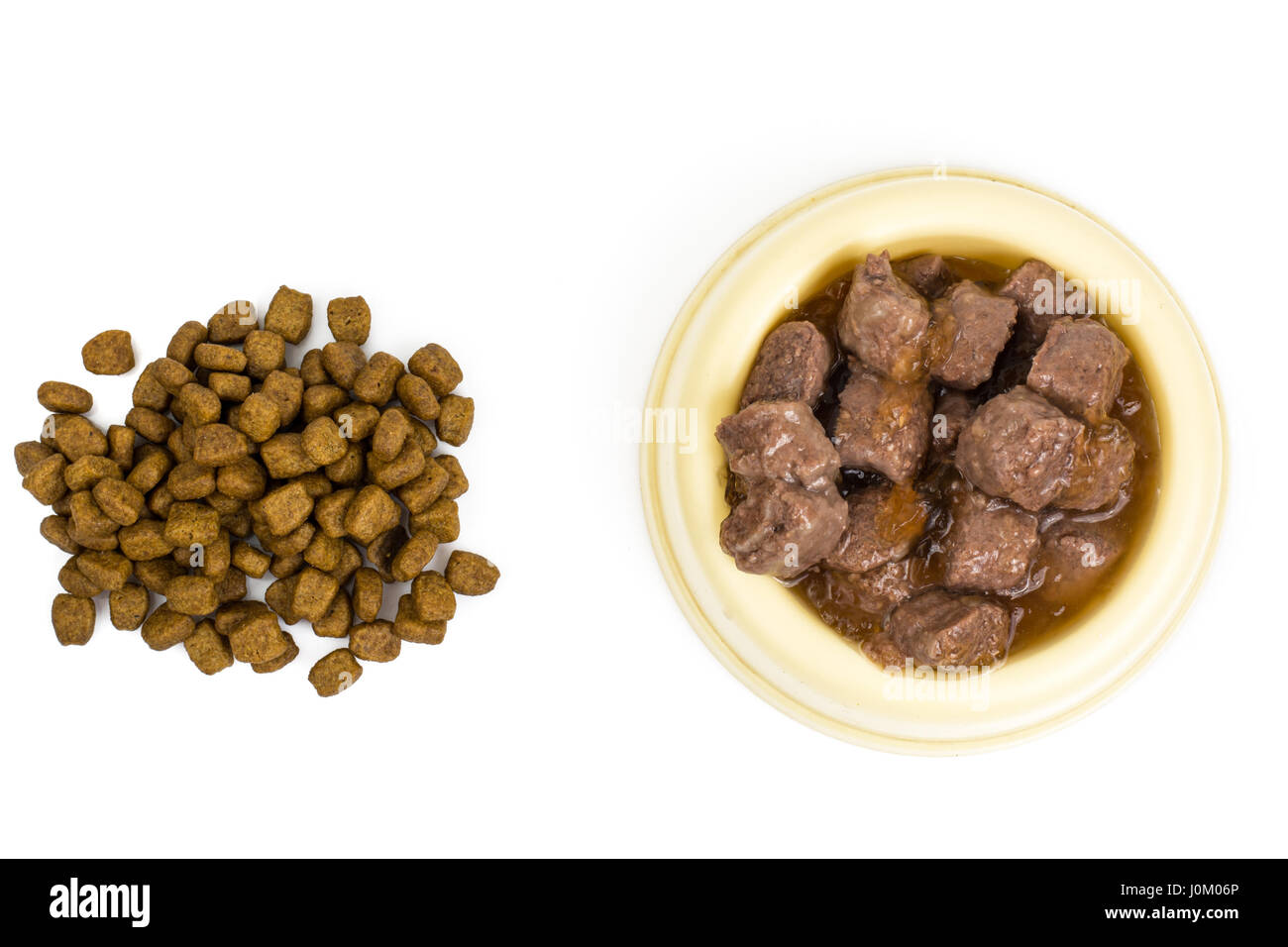 Wet cats Cut Out Stock Images & Pictures - Alamy