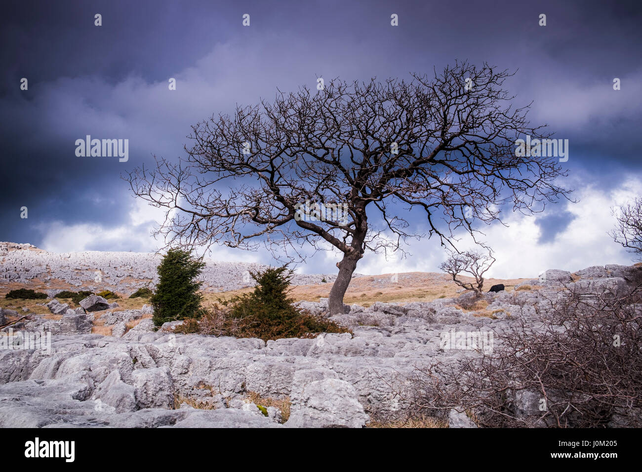 Farleton Knott, Cumbria, England Stock Photo - Alamy