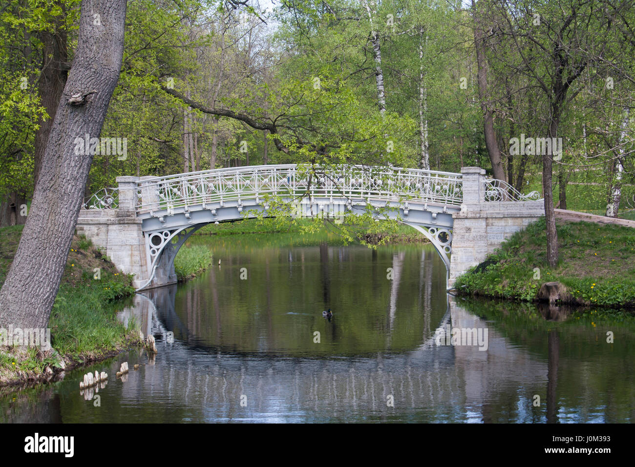 a small bridge over a stream in the park Stock Photo - Alamy